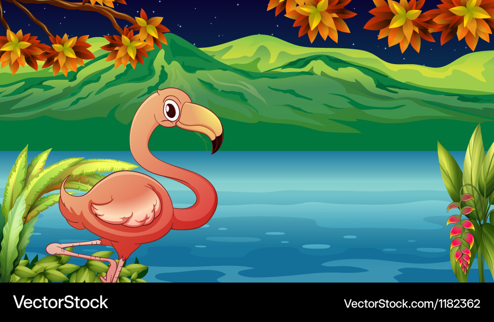 Cartoon flamingo Royalty Free Vector Image - VectorStock