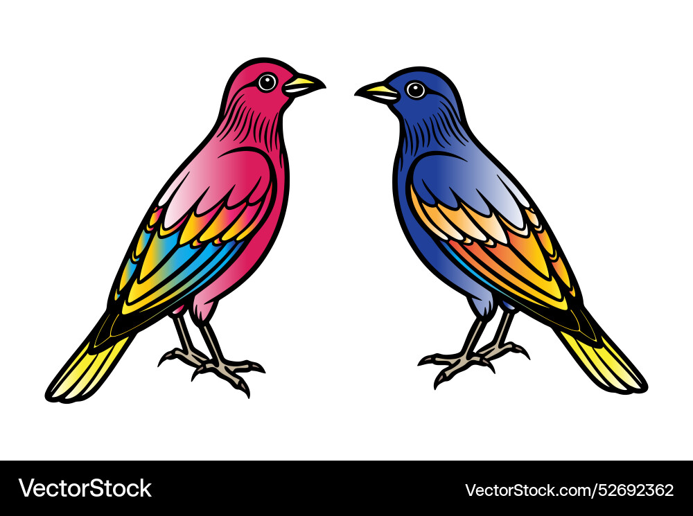 Colorful bird Royalty Free Vector Image - VectorStock