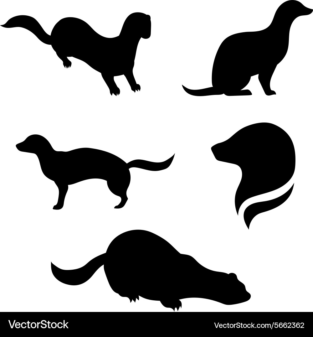 Mink silhouettes Royalty Free Vector Image - VectorStock