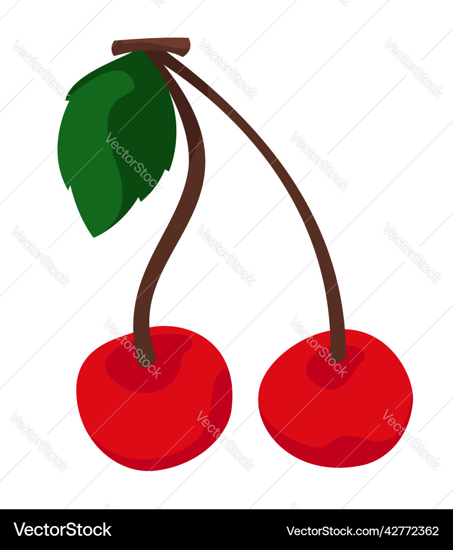 Two cherries with leaf Royalty Free Vector Image