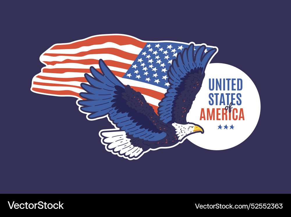 Bald eagle with american flag drawing wild bird Vector Image