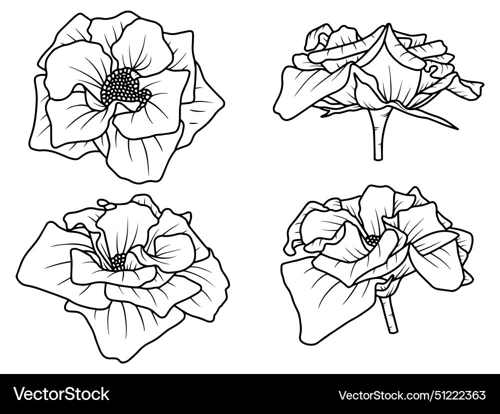 Hand drawn flower line art Royalty Free Vector Image