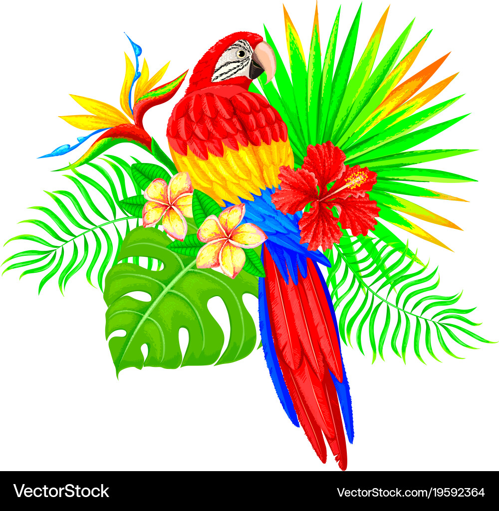 Bright tropical composition with parrot palm tree Vector Image