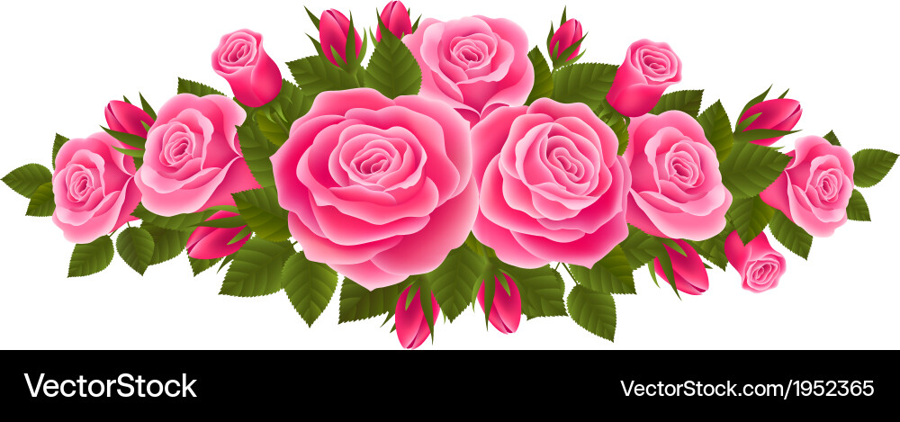 Beautiful border of roses Royalty Free Vector Image