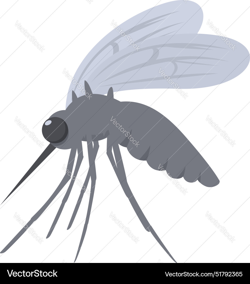 Gray mosquito spreading malaria disease Royalty Free Vector