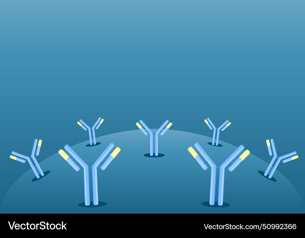 Antibody immunoglobulin ige or igg Royalty Free Vector Image