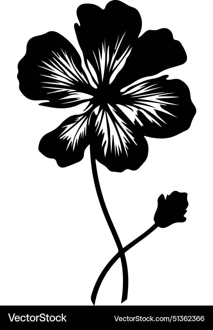Geranium flower silhouette white background Vector Image