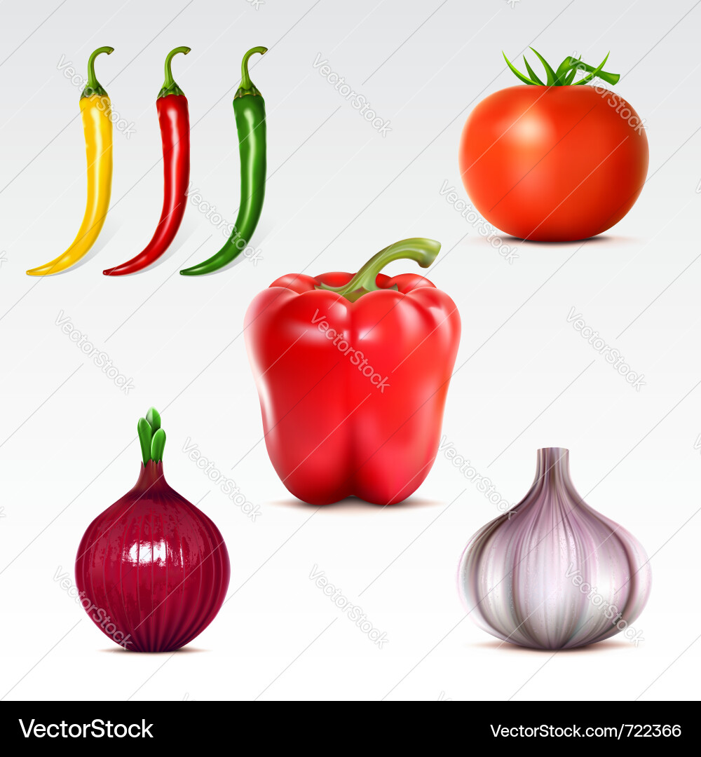 Vegetables Royalty Free Vector Image - VectorStock