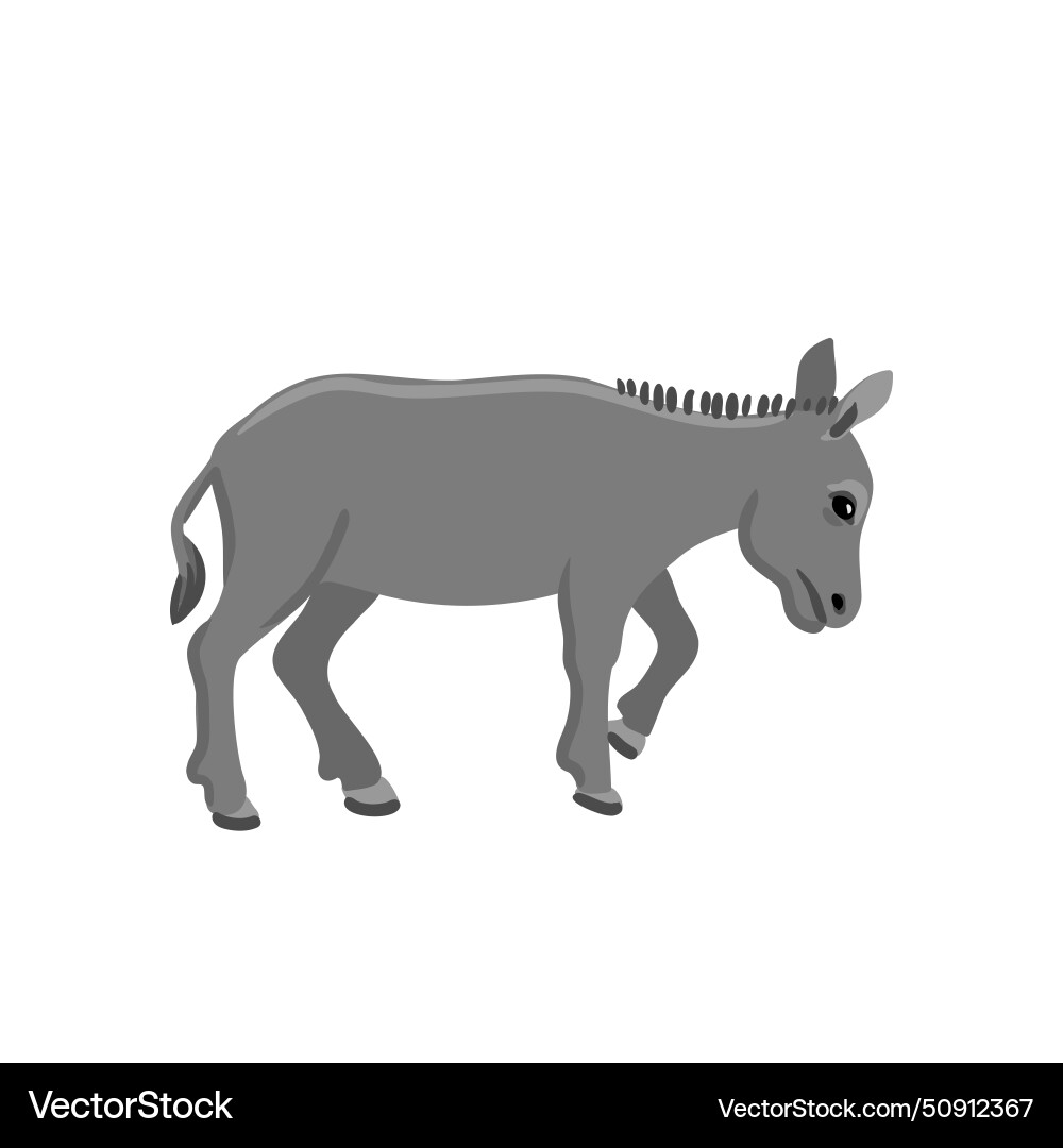 Drawing grey donkey Royalty Free Vector Image - VectorStock