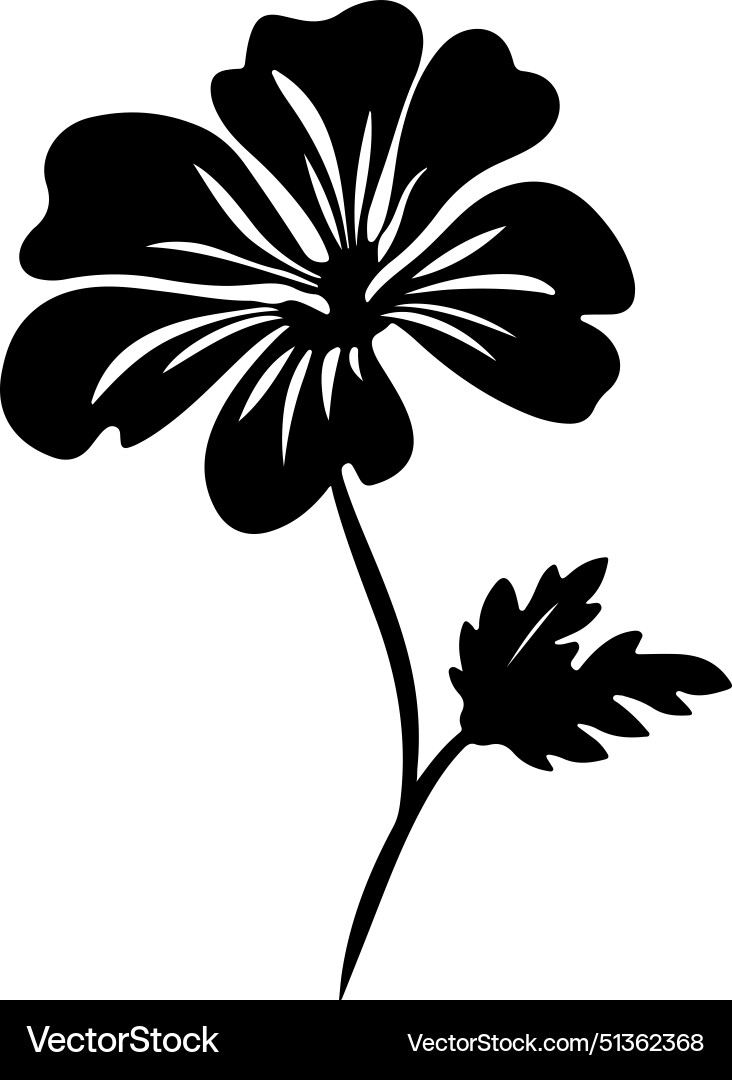 Geranium flower silhouette white background Vector Image