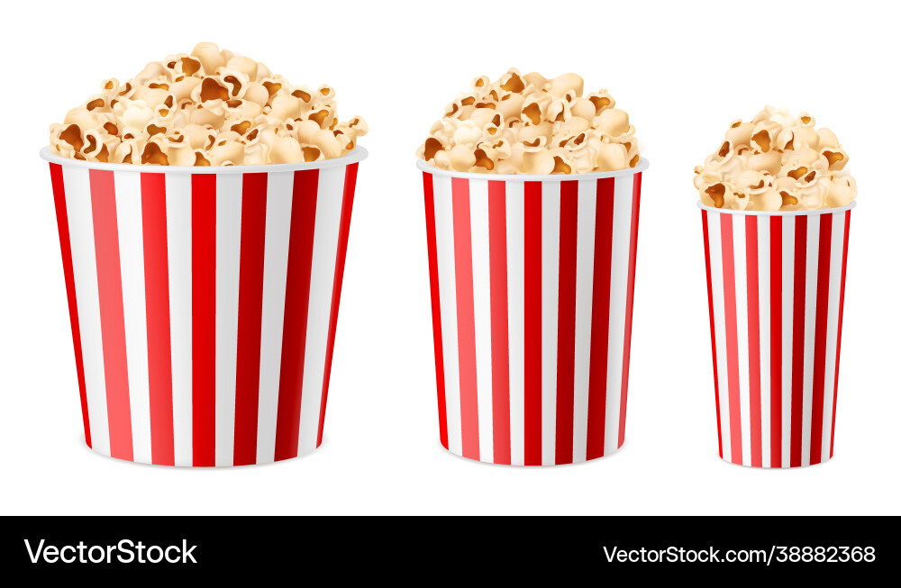 Realistic popcorn buckets 3d multiple sizes paper Vector Image