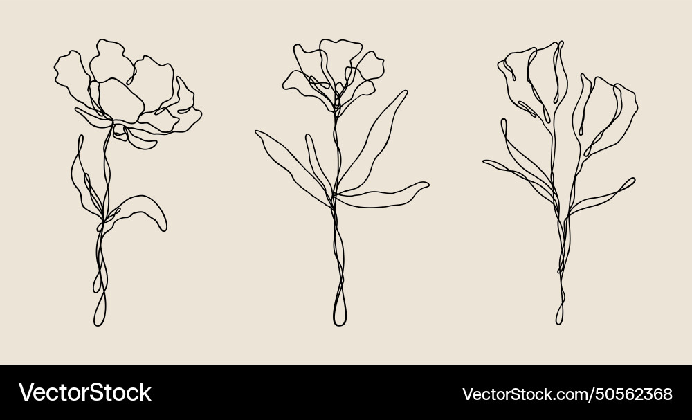 Wildflower line art bundle Royalty Free Vector Image