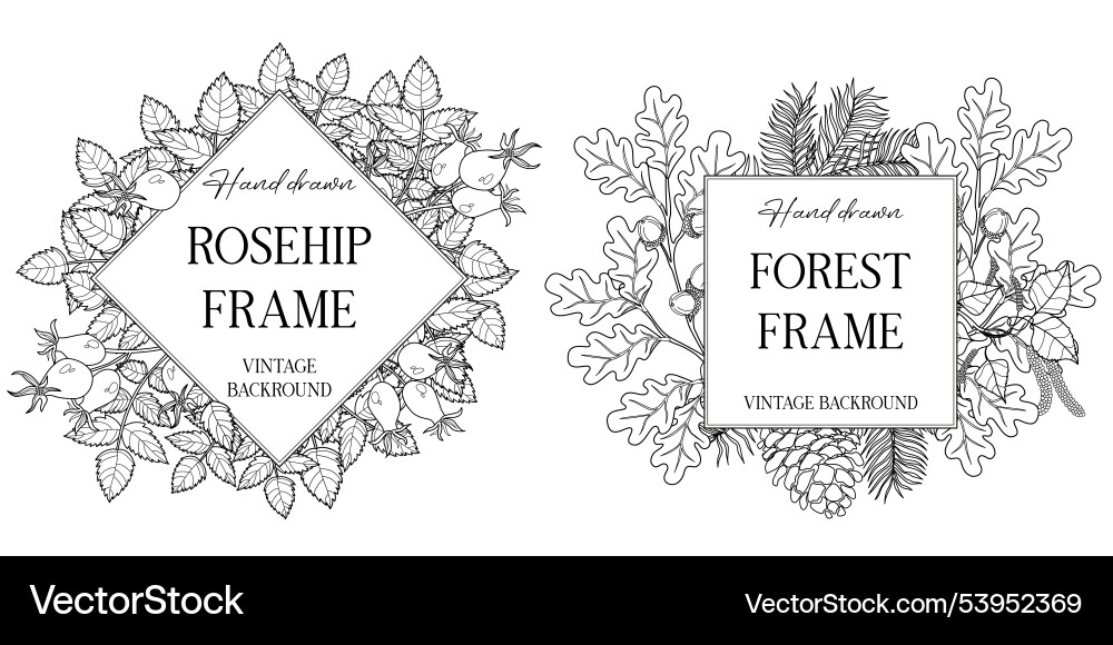 Hand drawn botanical frames with leaves Royalty Free Vector