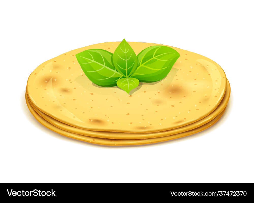 Corn tortilla for taco Royalty Free Vector Image