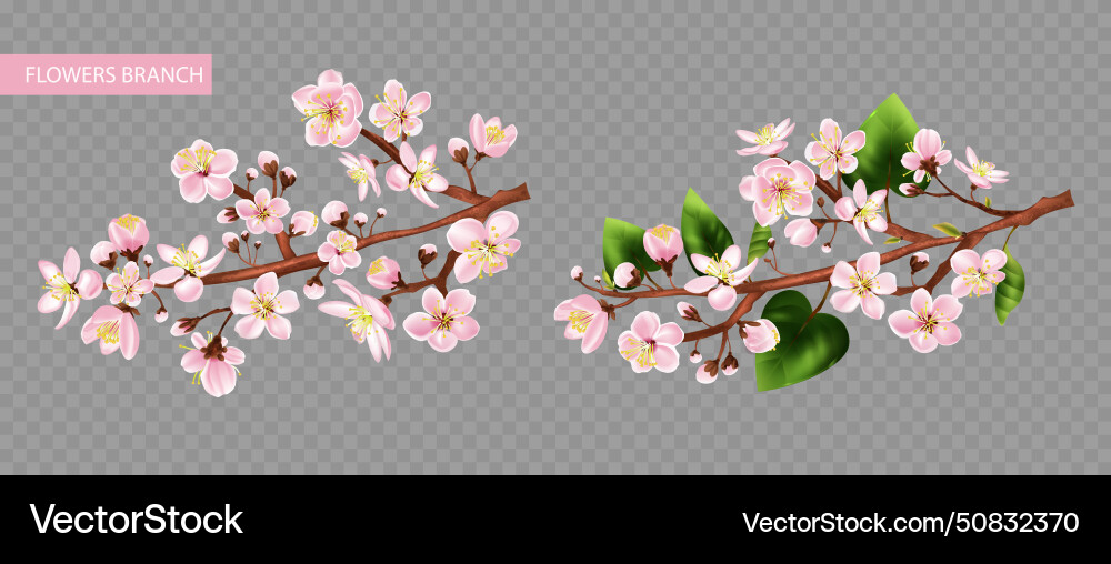 Fruit tree branch transparent set Royalty Free Vector Image