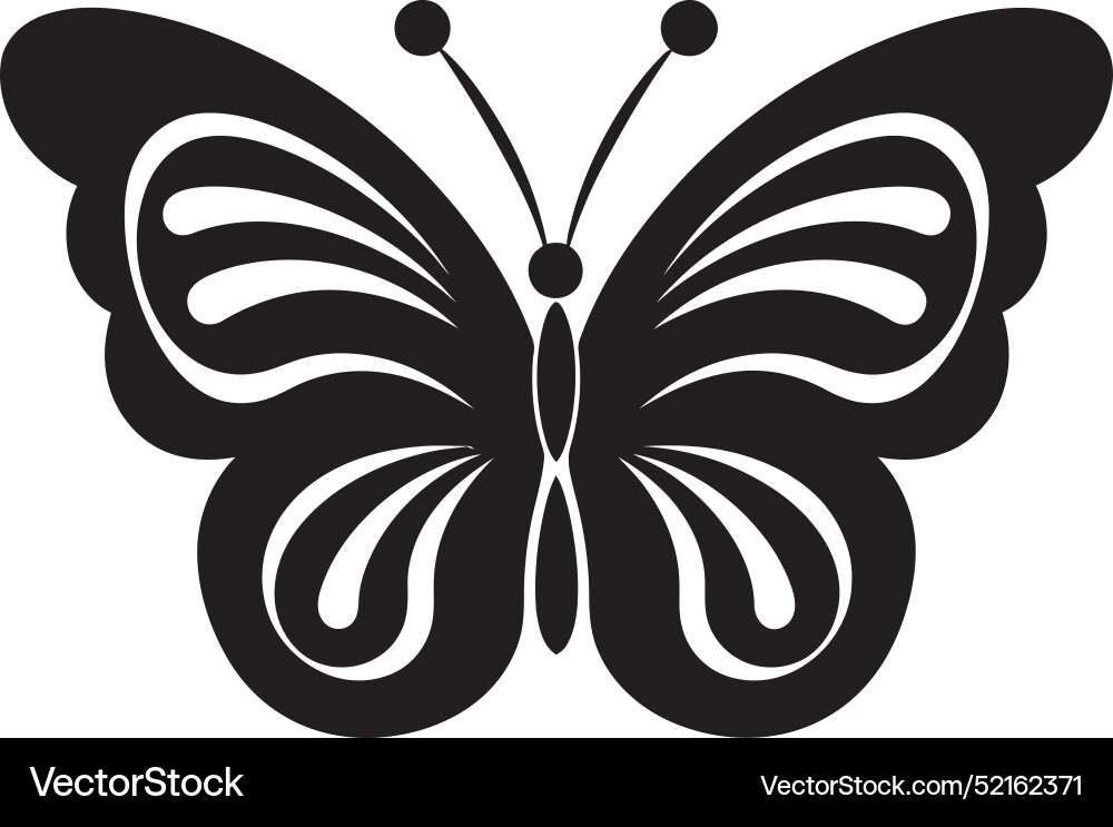Butterfly mimicry nature s deception butterflies Vector Image