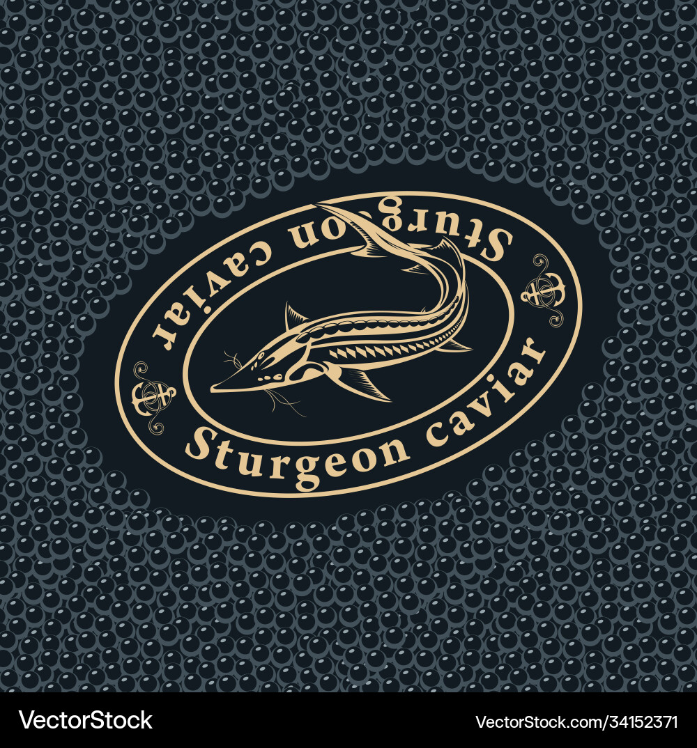 Label for black caviar with sturgeon fish Vector Image