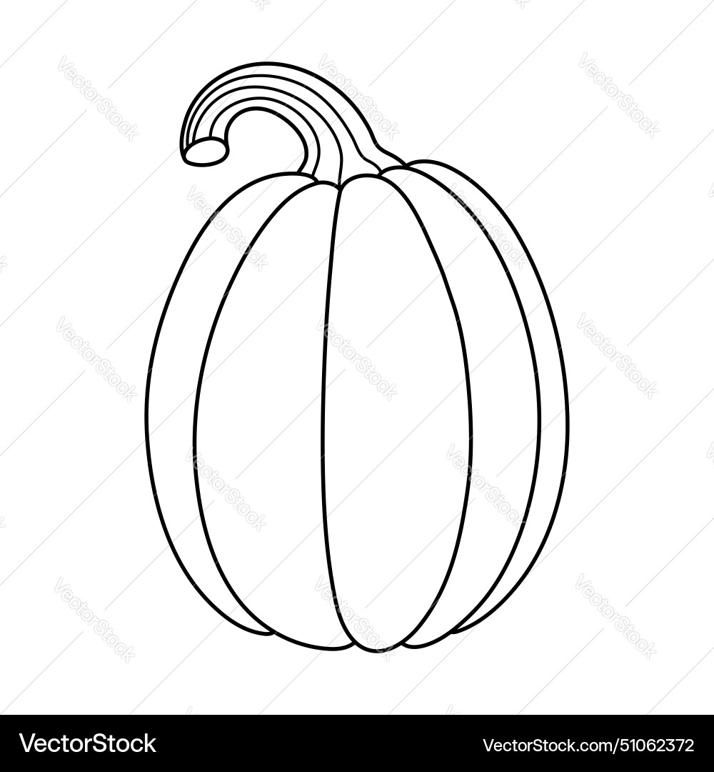 Autumn pumpkin simple line icon hand drawn Vector Image