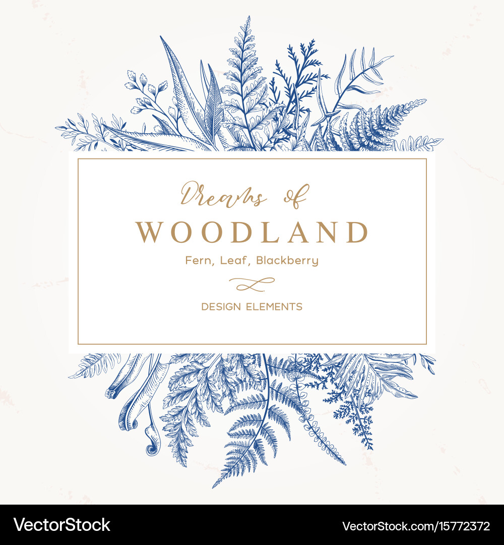 Banner with herbs and leaves Royalty Free Vector Image