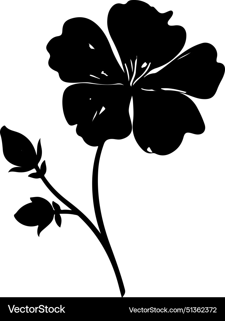 Geranium flower silhouette white background Vector Image