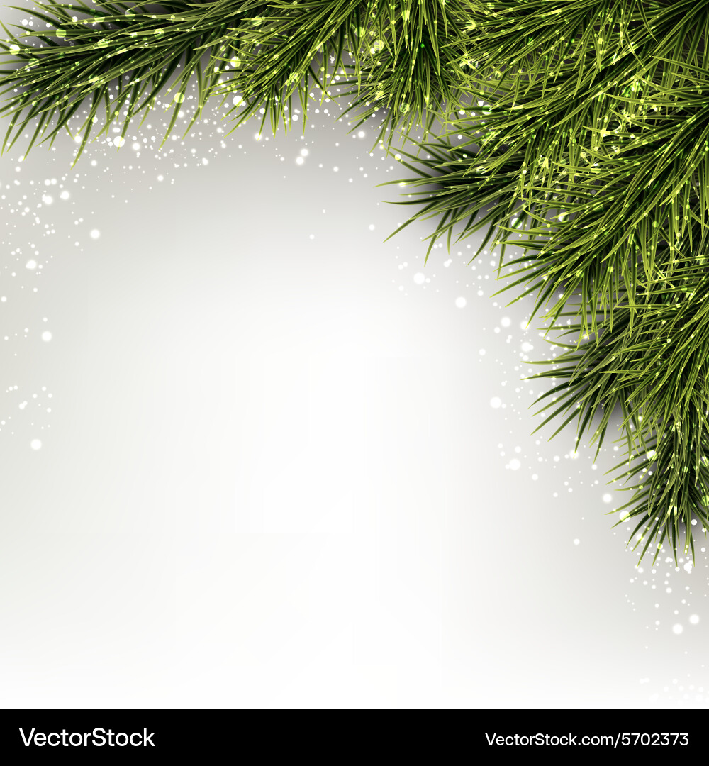 Christmas background with spruce branches Vector Image