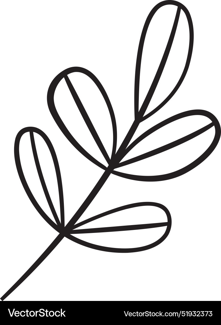 Floral branch doodle Royalty Free Vector Image