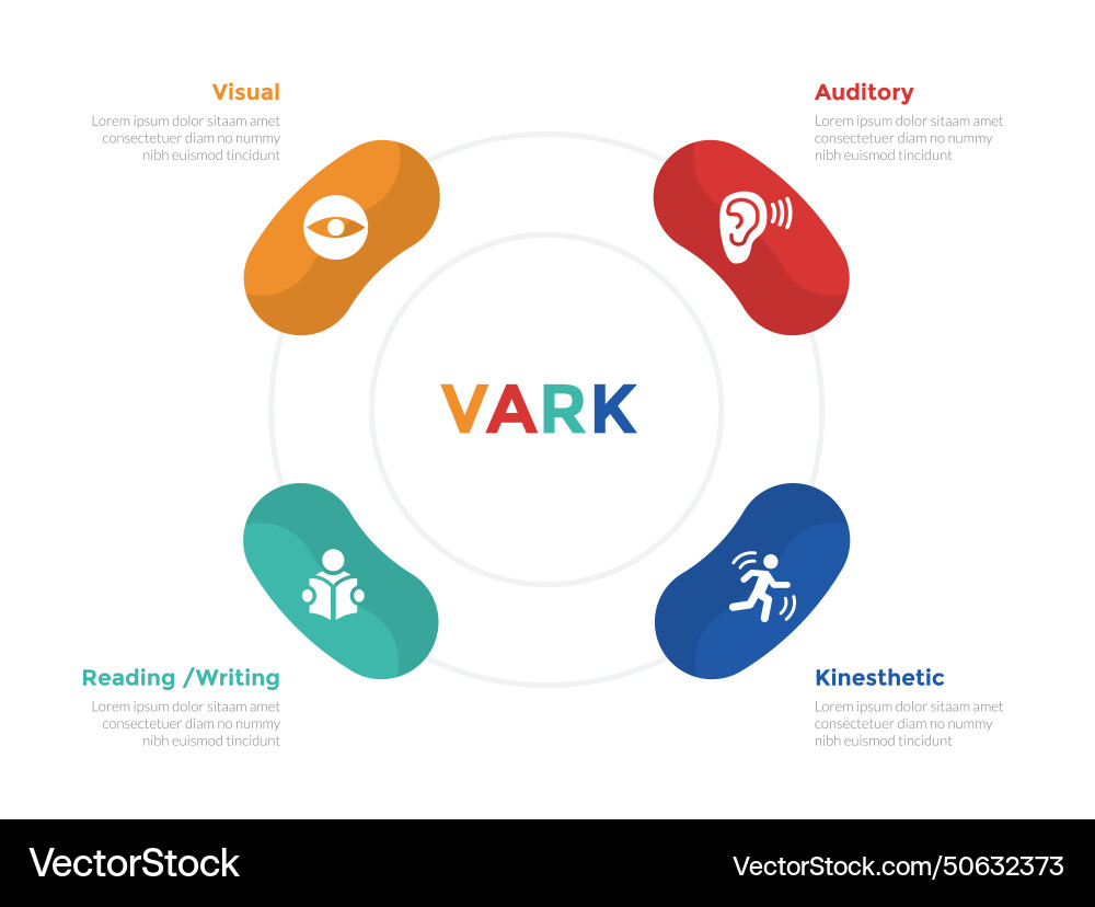 Vark learning styles infographics template Vector Image