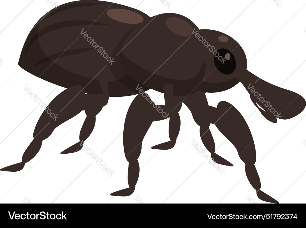 Big brown beetle walking on six legs Royalty Free Vector