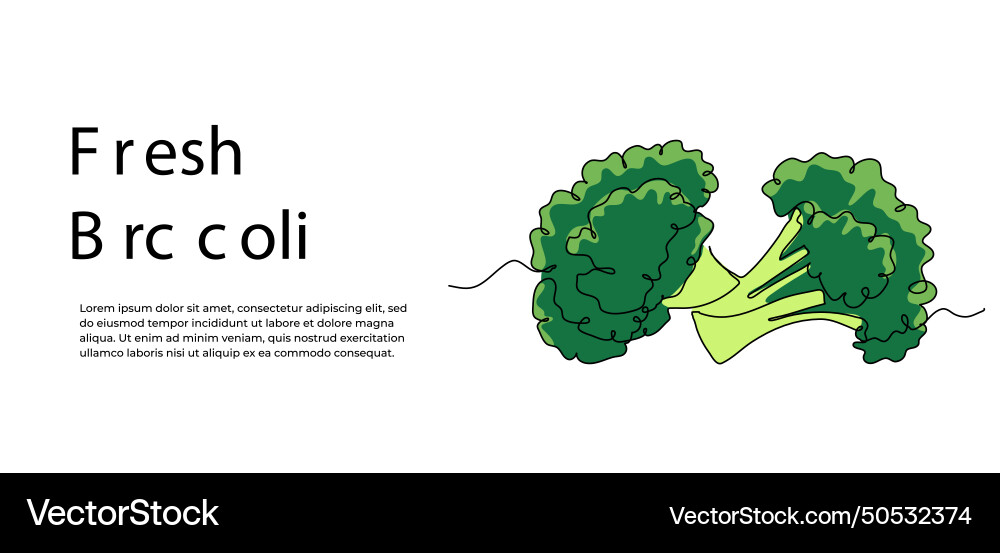 Broccoli one continuous line design vegetable Vector Image