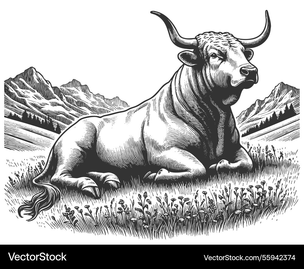 Bull resting in mountain meadow engraving Vector Image