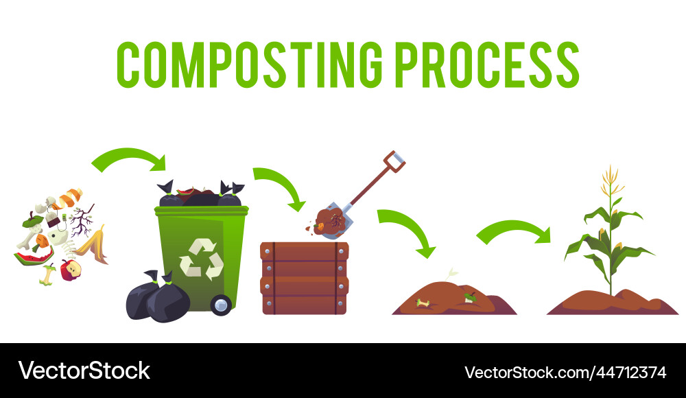 Composting Prozess Stufen und Pfeile flach Stil Vektorbild