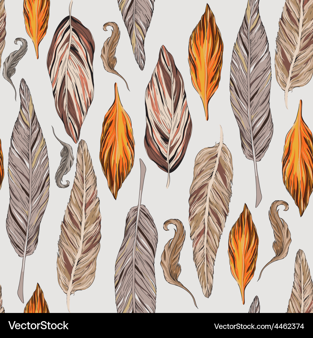 Feathers Royalty Free Vector Image - VectorStock