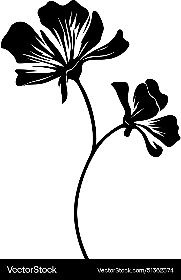 Geranium flower silhouette white background Vector Image
