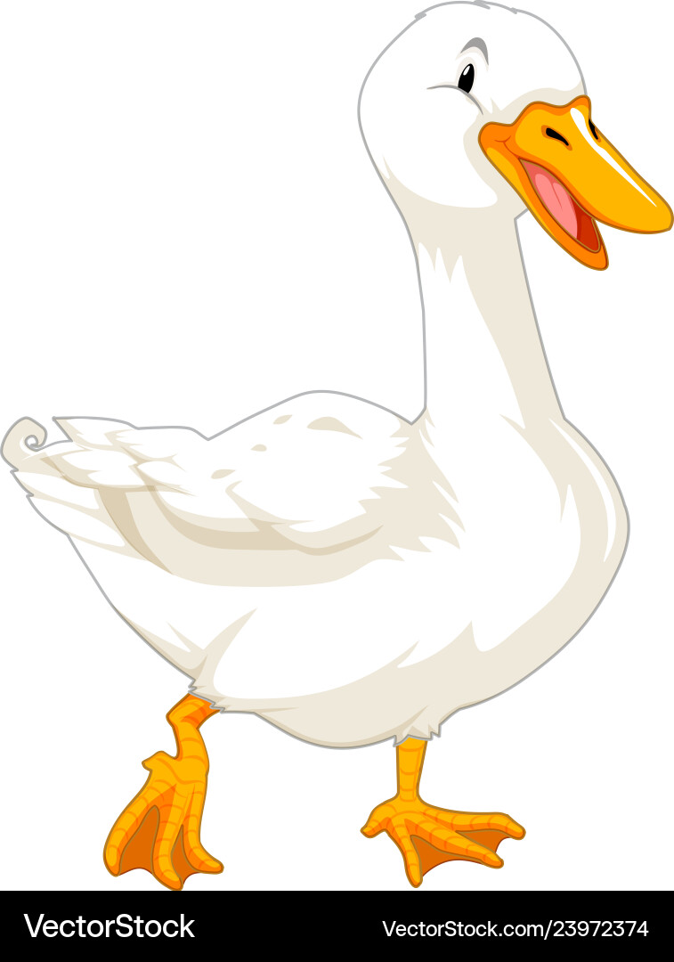 Goose on white background Royalty Free Vector Image
