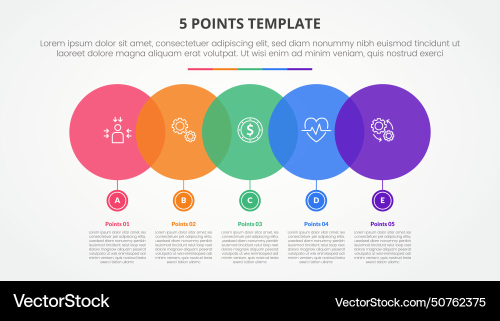 5 points stage template infographic concept Vector Image