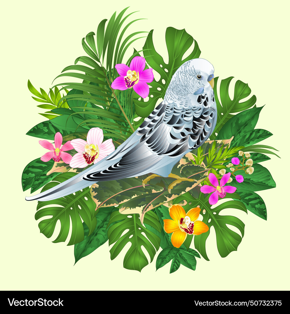 Budgerigar blue pets parakeet on a bouquet Vector Image