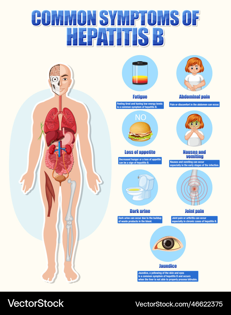 Hepatitis B Symptoms