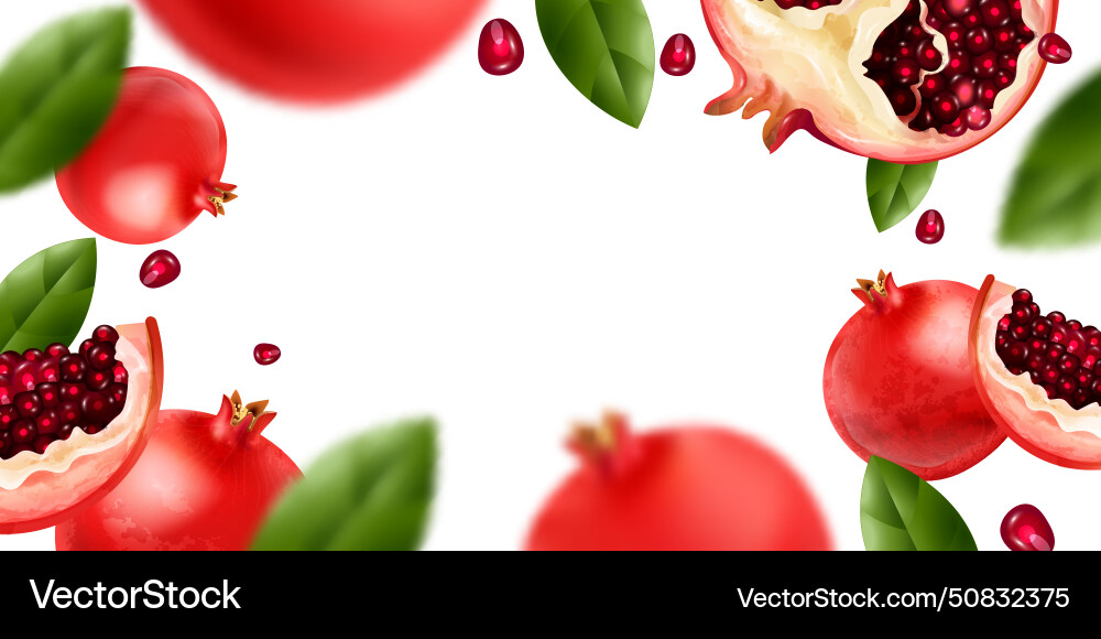 Pomegranate realistic horizontal frame Royalty Free Vector