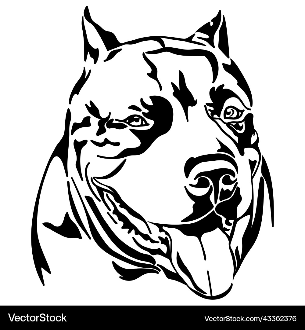 American pitbull terrier dog Royalty Free Vector Image
