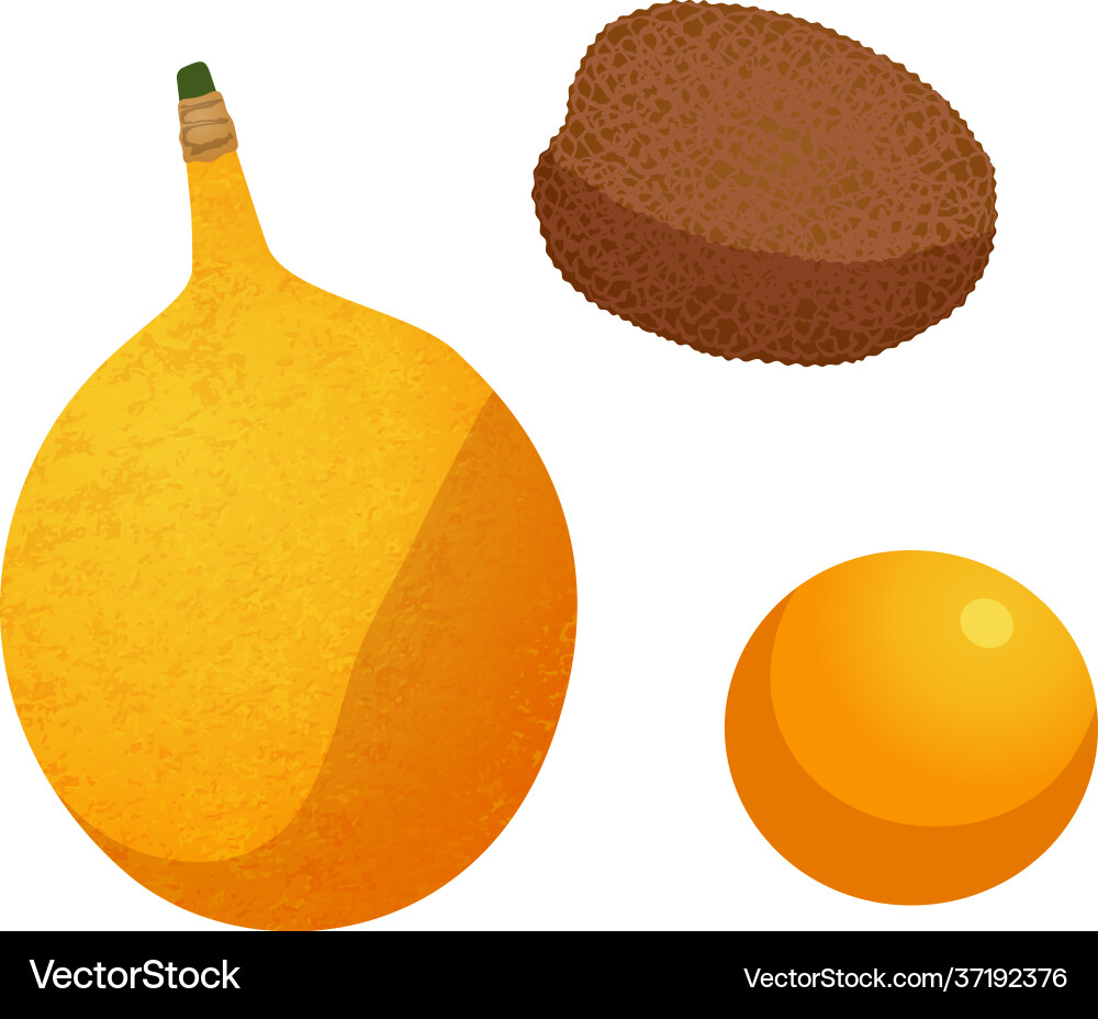 Citral fruits food composition Royalty Free Vector Image