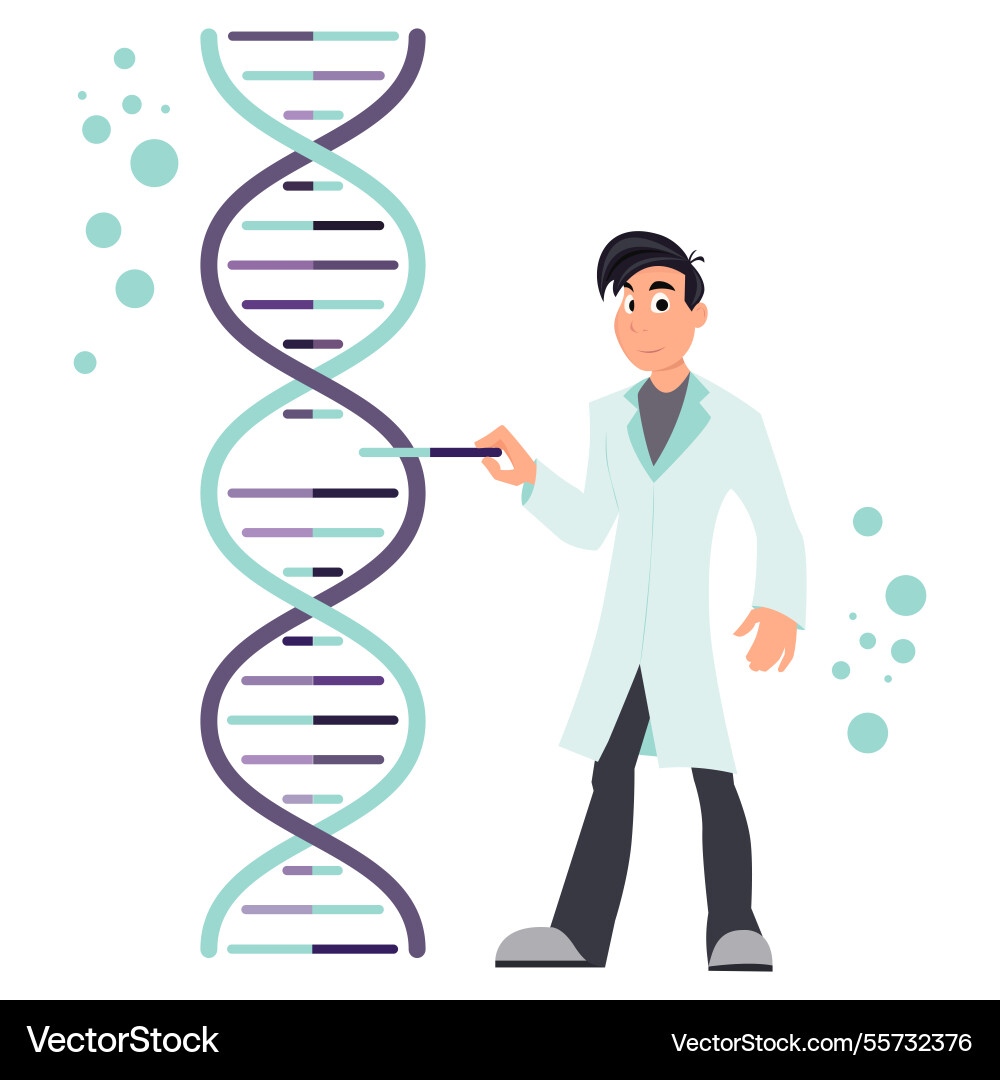Male scientist gene editing a double helix dna Vector Image