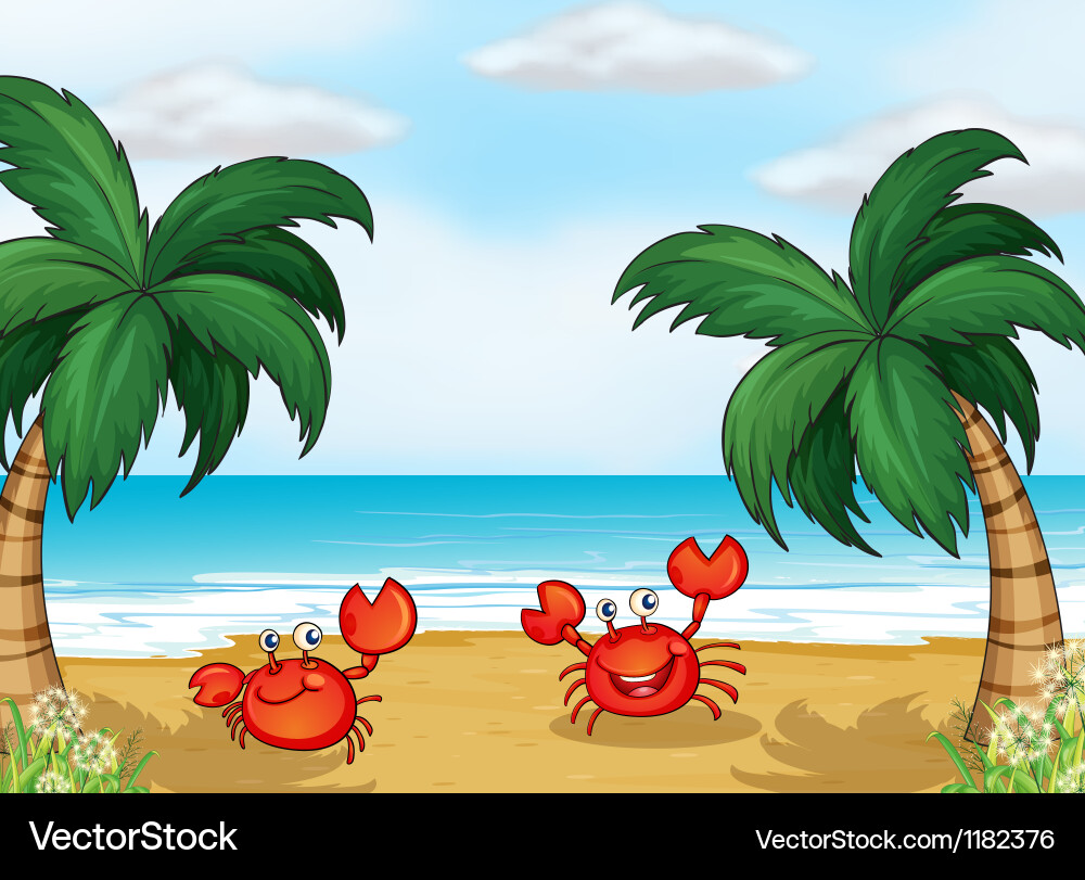 Seashore crabs Royalty Free Vector Image - VectorStock