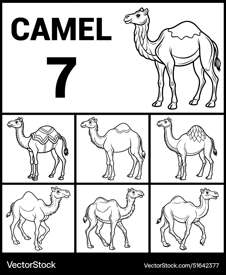 Camel outline set detailed Royalty Free Vector Image