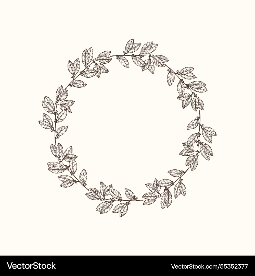 Frame with leaves of yerba mate Royalty Free Vector Image