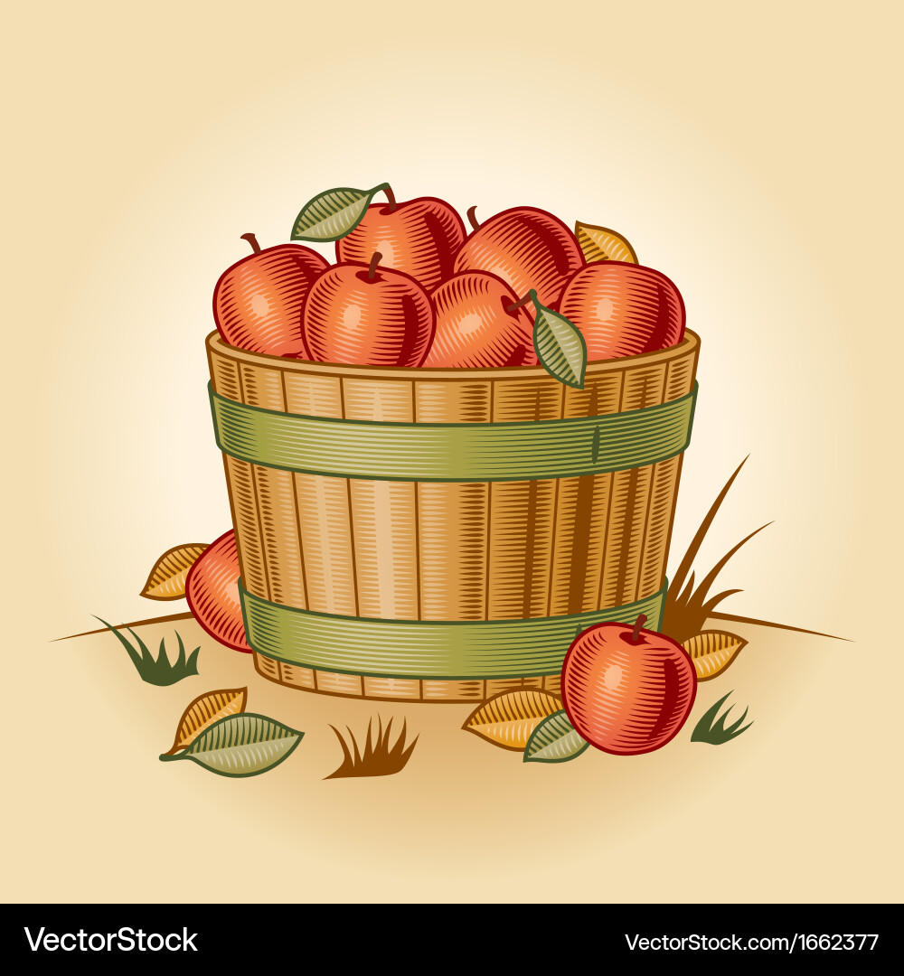 Retro bushel of apples Royalty Free Vector Image