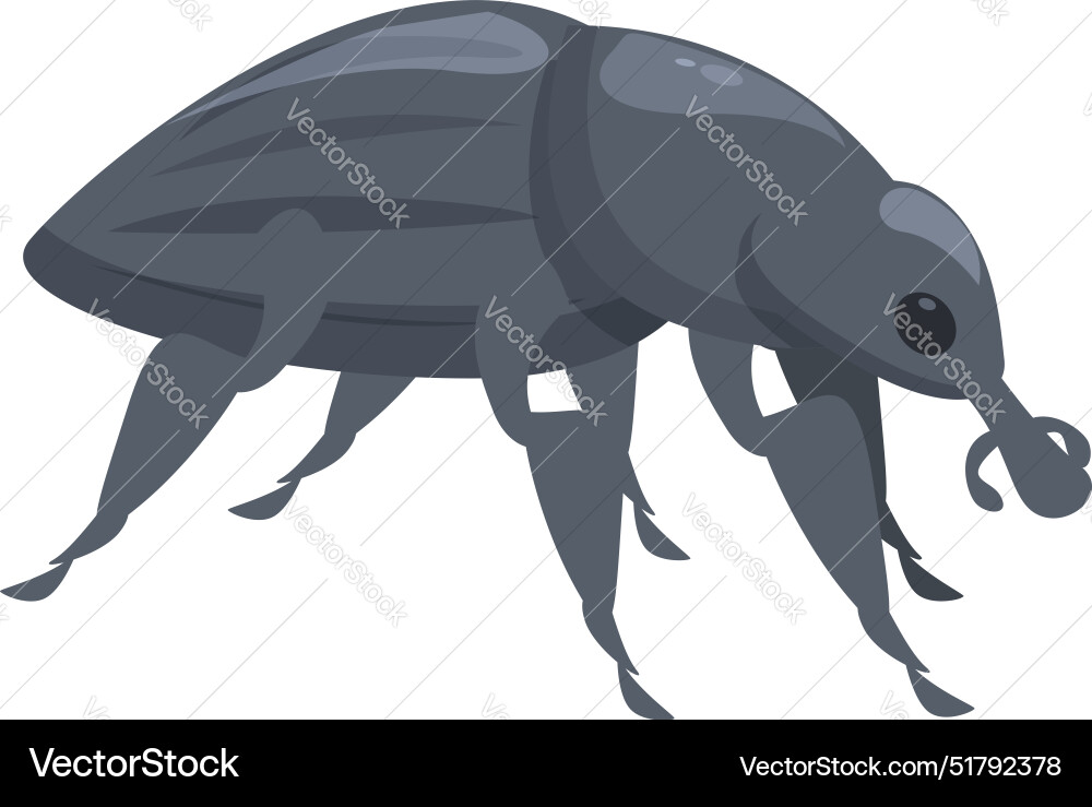 Gray weevil is taking a stroll Royalty Free Vector Image