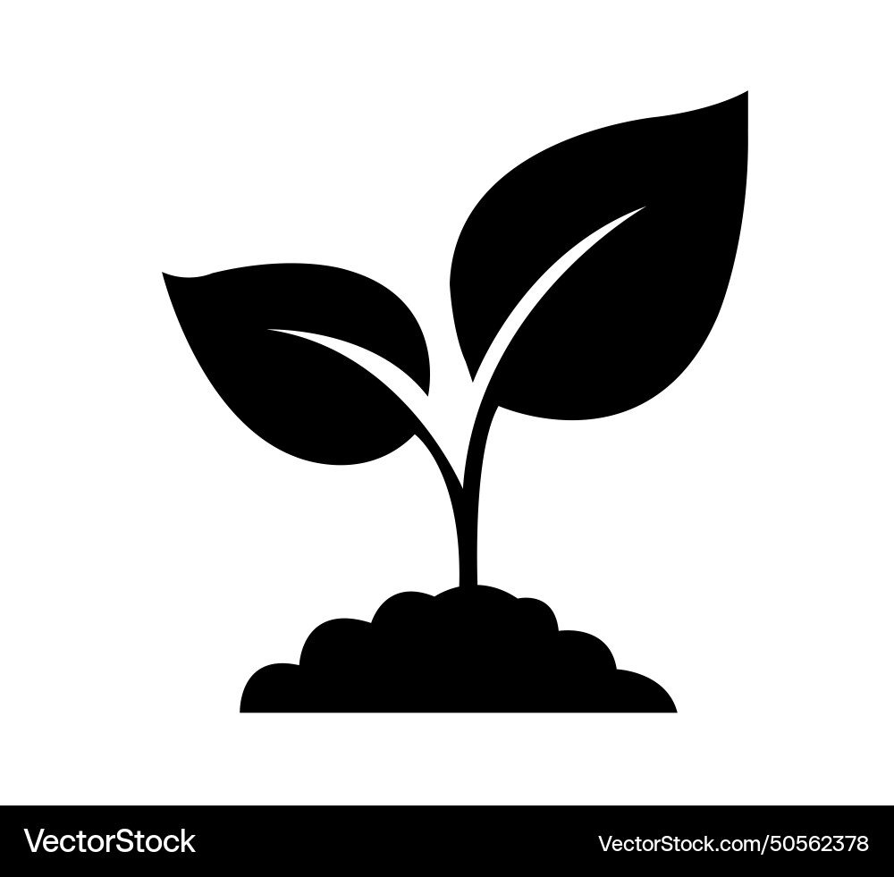 Sprout logo isolated white background Royalty Free Vector