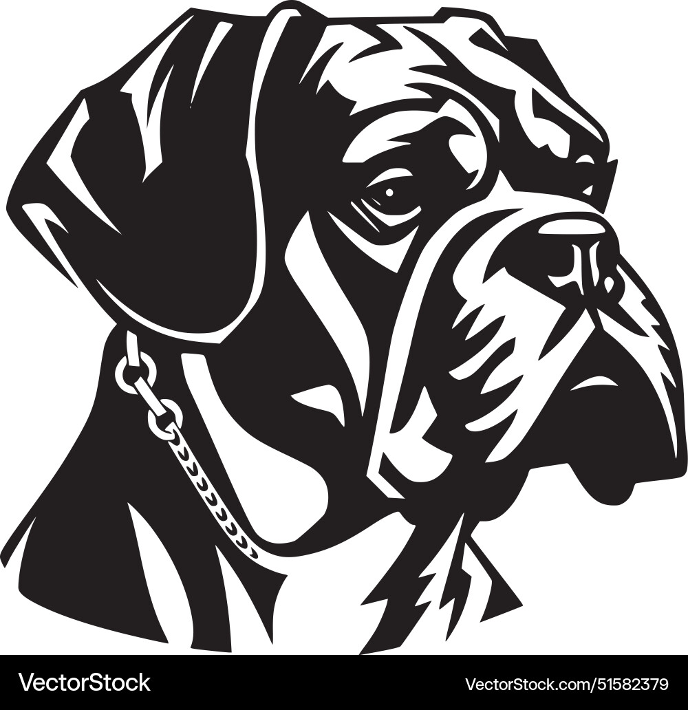 Boxer - black and white Royalty Free Vector Image