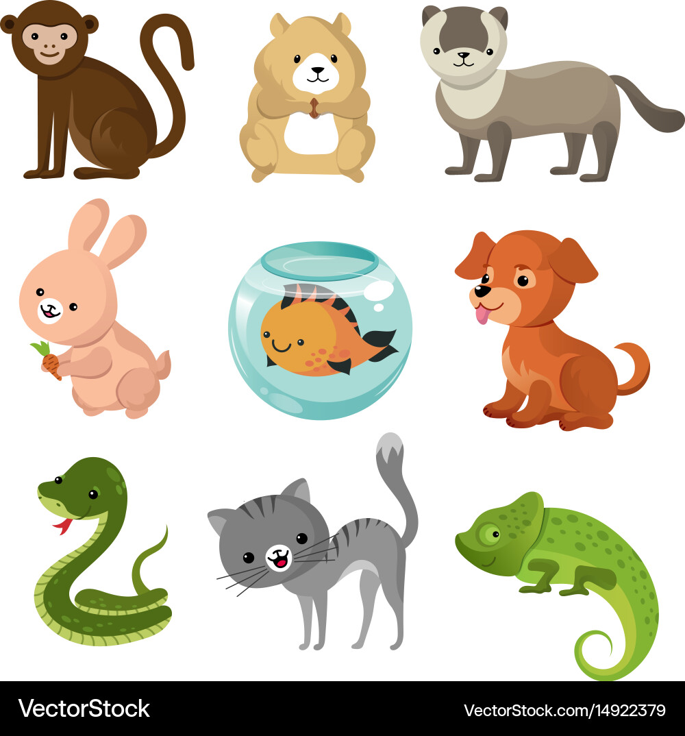 Cartoon cute home pets collection Royalty Free Vector Image
