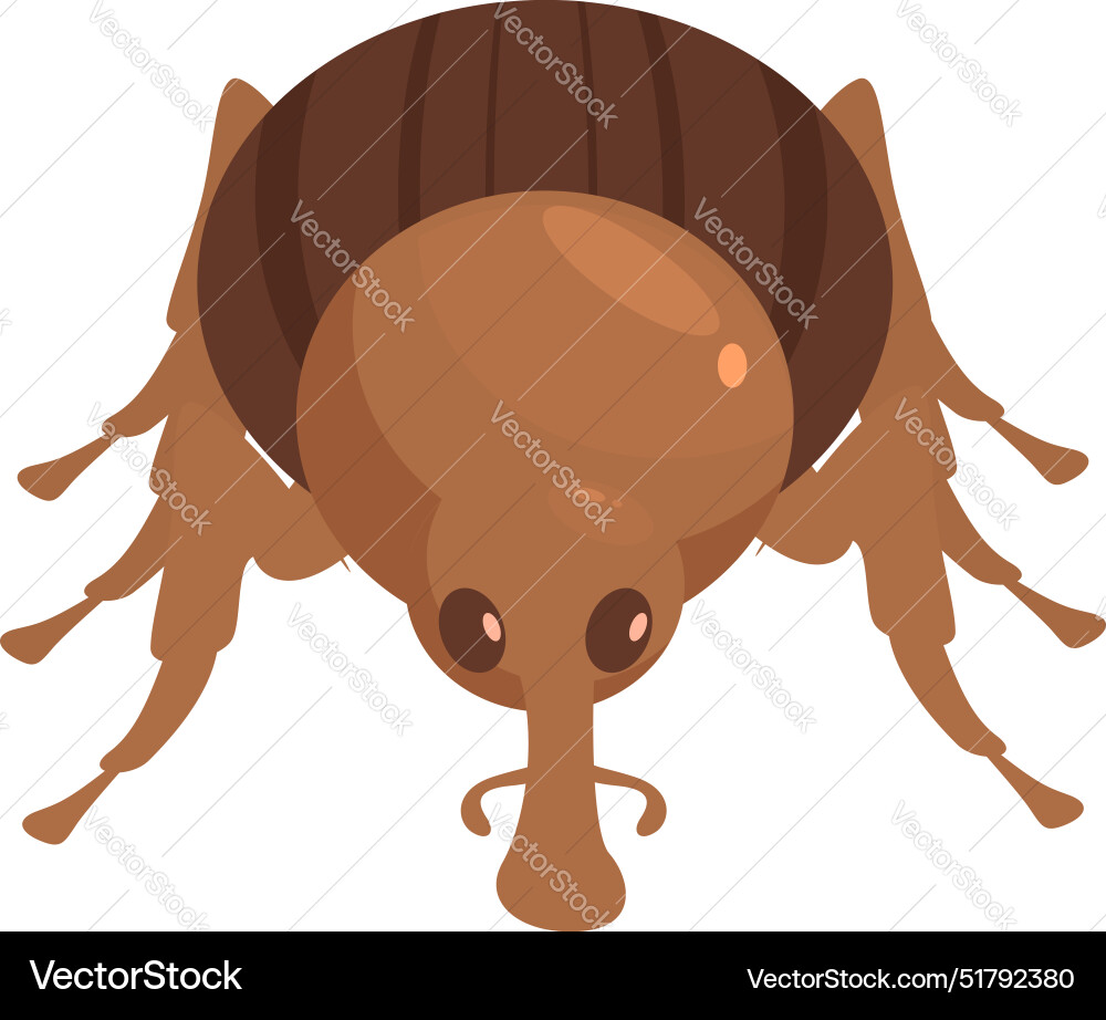 Brown weevil walking with long legs and head down Vector Image